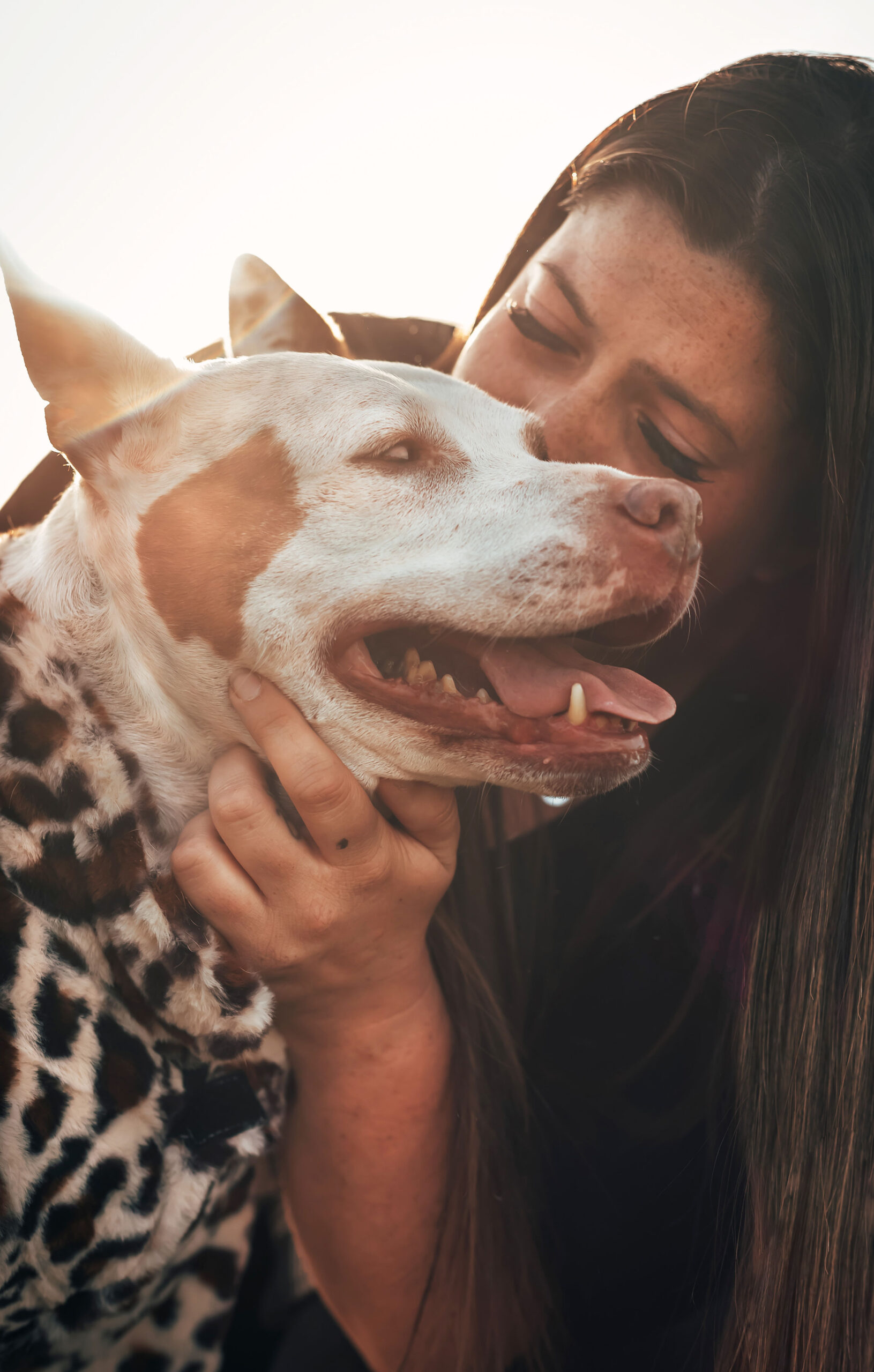 End of Life Photography - Lovelee Paws CT Photography