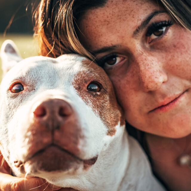 End of Life Photography - Lovelee Paws CT Photography