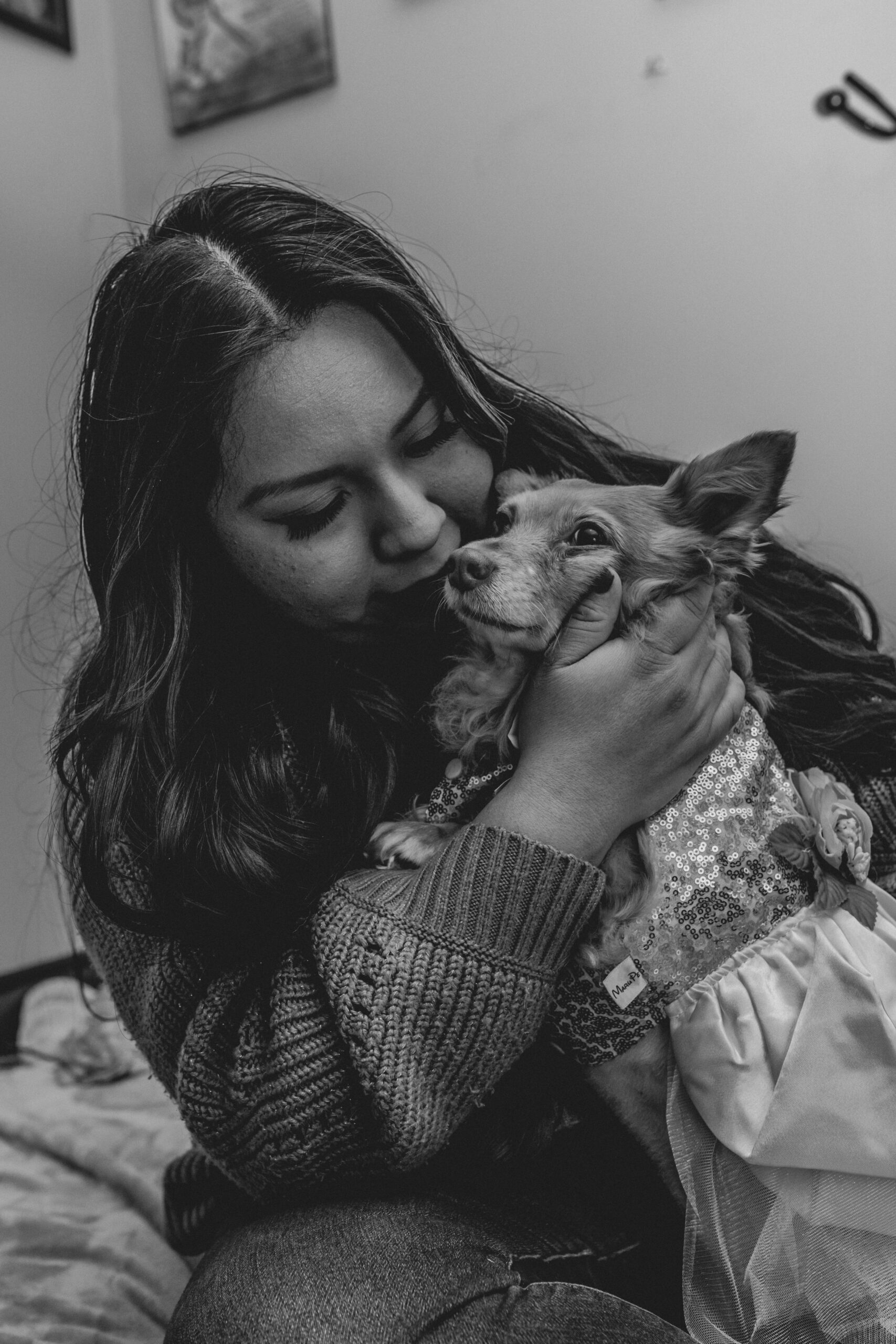 End of Life Photography - Lovelee Paws CT Photography